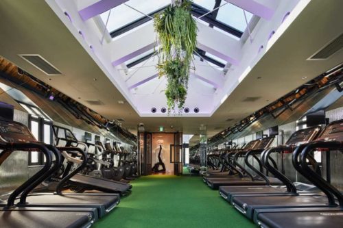 ReXeR LIFeSTYLe & FITNeSS | BAMBOO MEDIA